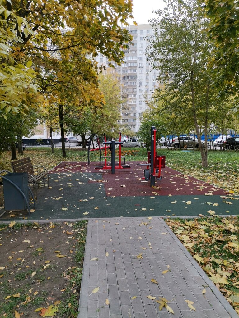 Spor alanı Спортивная площадка, Moskova, foto