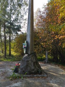 Погибшим в годы Великой Отечественной войны (Pskov Region, Bezhanitsky District, derevnya Apolye), anıt, heykel  Pskovskaya oblastından