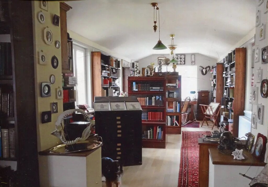Antikacı dükkanları Antiquariat Buchseite - Inh Susanne Schäfer – Burdis, Viyana, foto