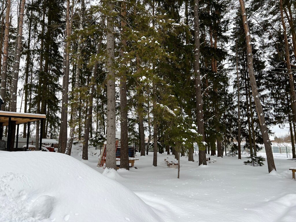 Emlak geliştirme Posyolok Vensky les, Balabanovo, foto