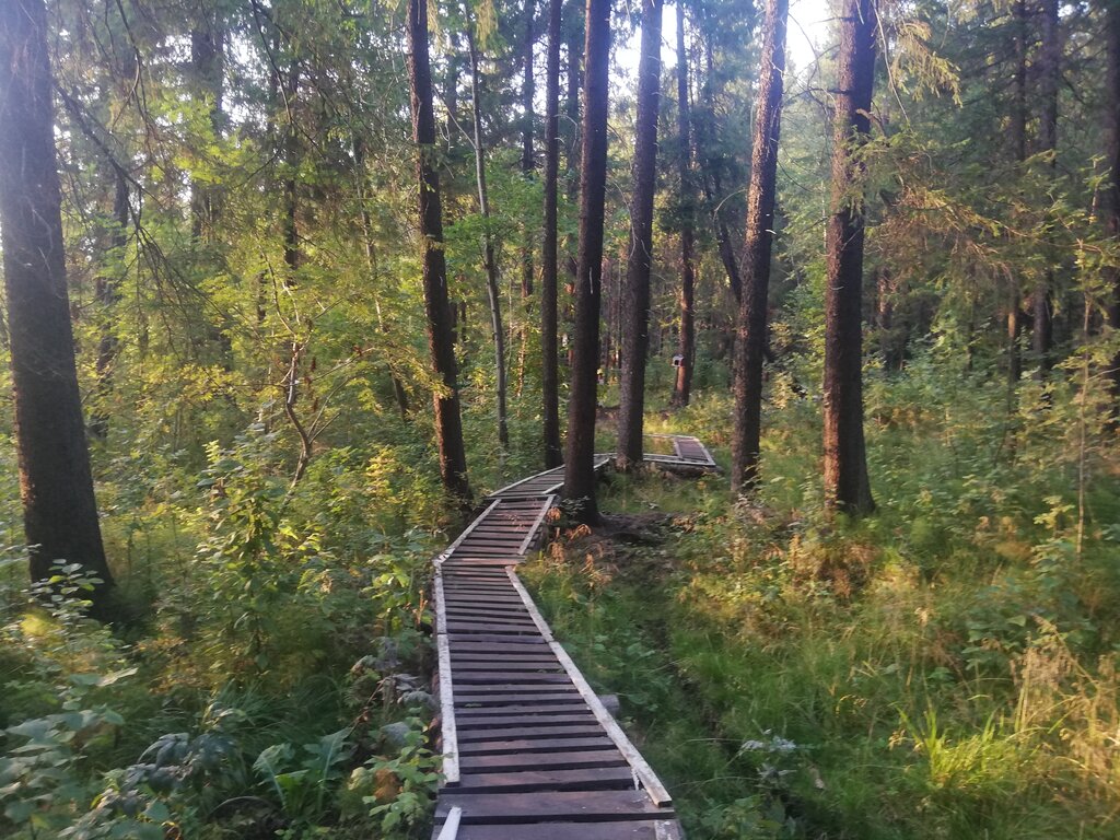 Pınar, çay Источник во Имя Всех Святых, Sverdlovskaya oblastı, foto