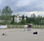 A. S. D. Horse Valley (Venice, Verona, Via della Diga, 17), evcil hayvan yetiştiricileri  Dünya'dan