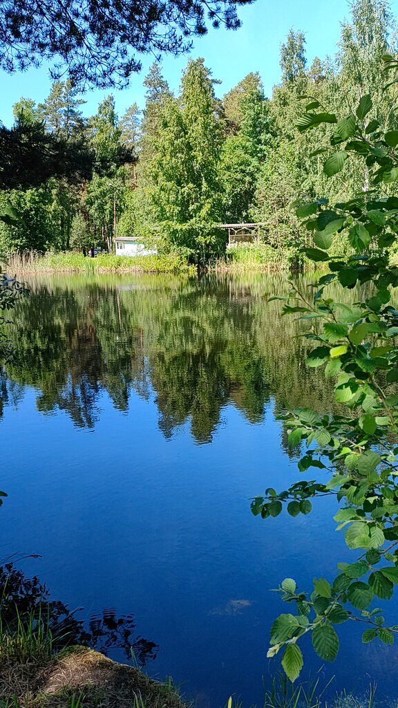 Yaz kampı Архитектурная дача, Saint‑Petersburg ve Leningradskaya oblastı, foto