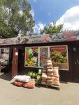 Фрукты овощи (Altai Territory, Barnaul, Proletarskaya Street), manavlar  Barnaul'dan
