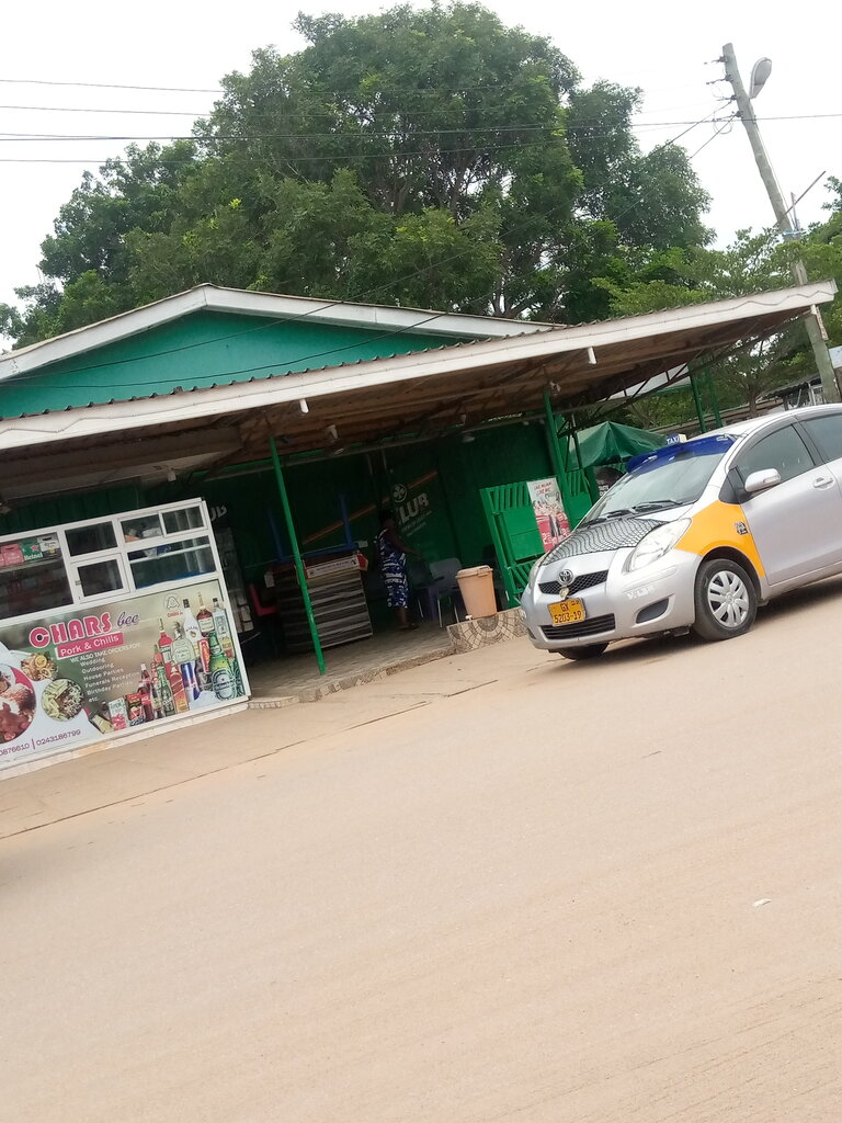 Bar Chars bee, Dünya, foto