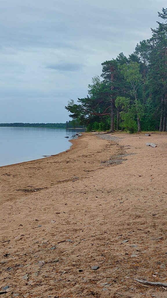 Plaj Beach, Karelya, foto