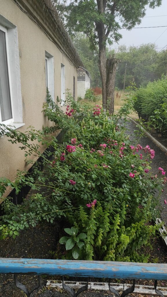 Ürün paketleme Luch, Spk, Blagodarny, foto