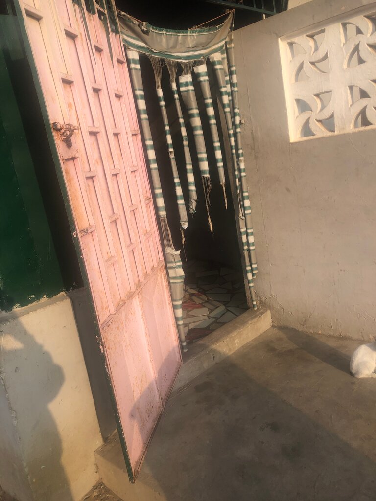 Bar Spot, Dünya, foto