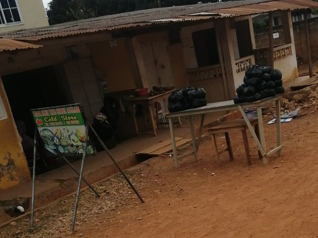 Dondurulmuş gıda firmaları Baa mei yie shei allah cold store, Dünya, foto