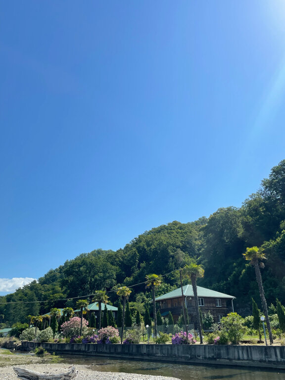 Resort oteller, tesisler База отдыха МИСИС, Gudauta Bölgesi, foto