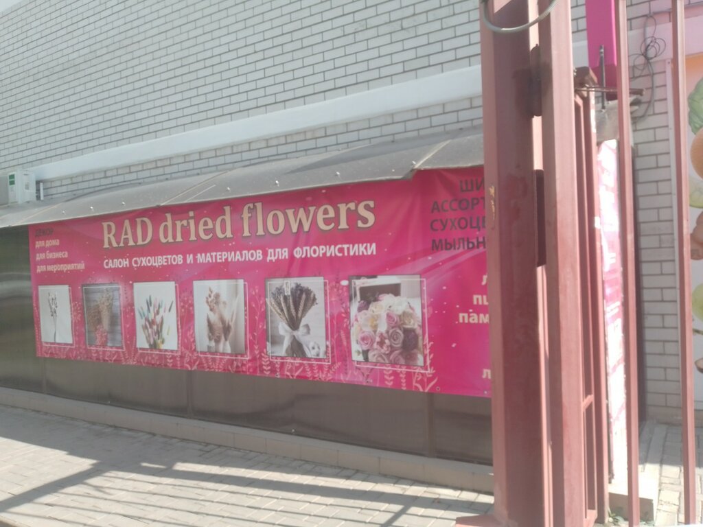 Yapay bitki ve çiçek Rad Dried Flowers, Krasnodar, foto