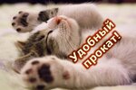 Proktor_for_rent (Kharkovskaya Street No:59А), kiralama noktası  Tiumen'den
