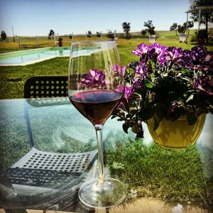 Monte dos Pocos Agroturismo (Beja, Aljustrel, Monte dos Poços), otel  Beja'dan