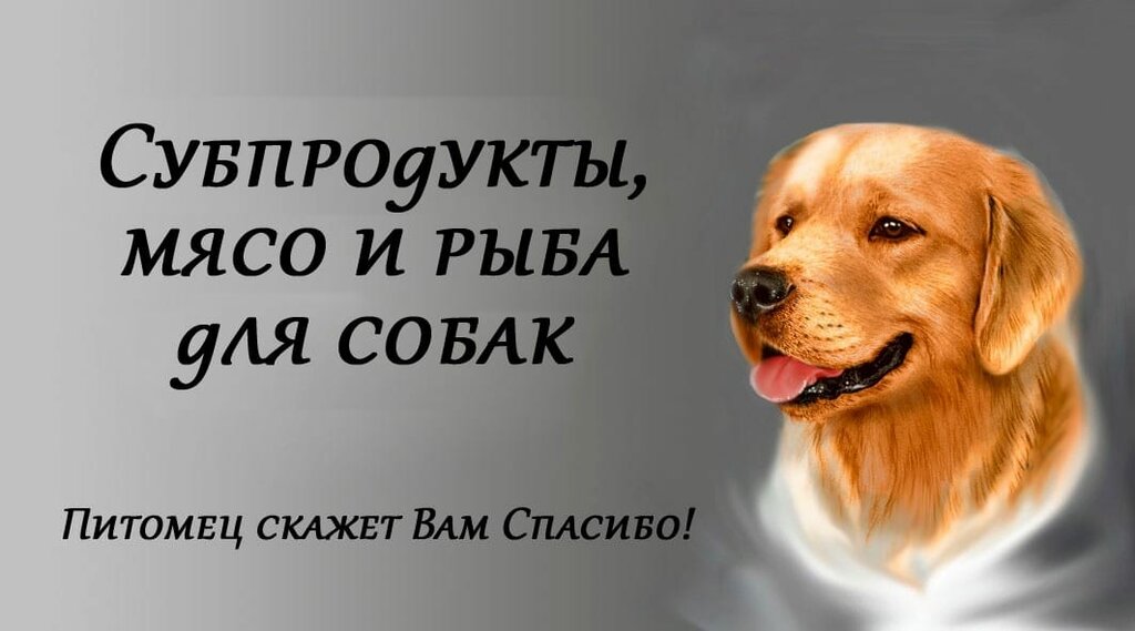 Petshop Мясо для собак, Lytkarino, foto