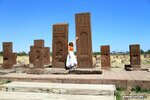 Ahlat Selçuklu Mezarlığı (Bitlis, Ahlat, İki Kubbe Mah., Ağrı Bitlis Yolu), mezarlıklar  Ahlat'tan