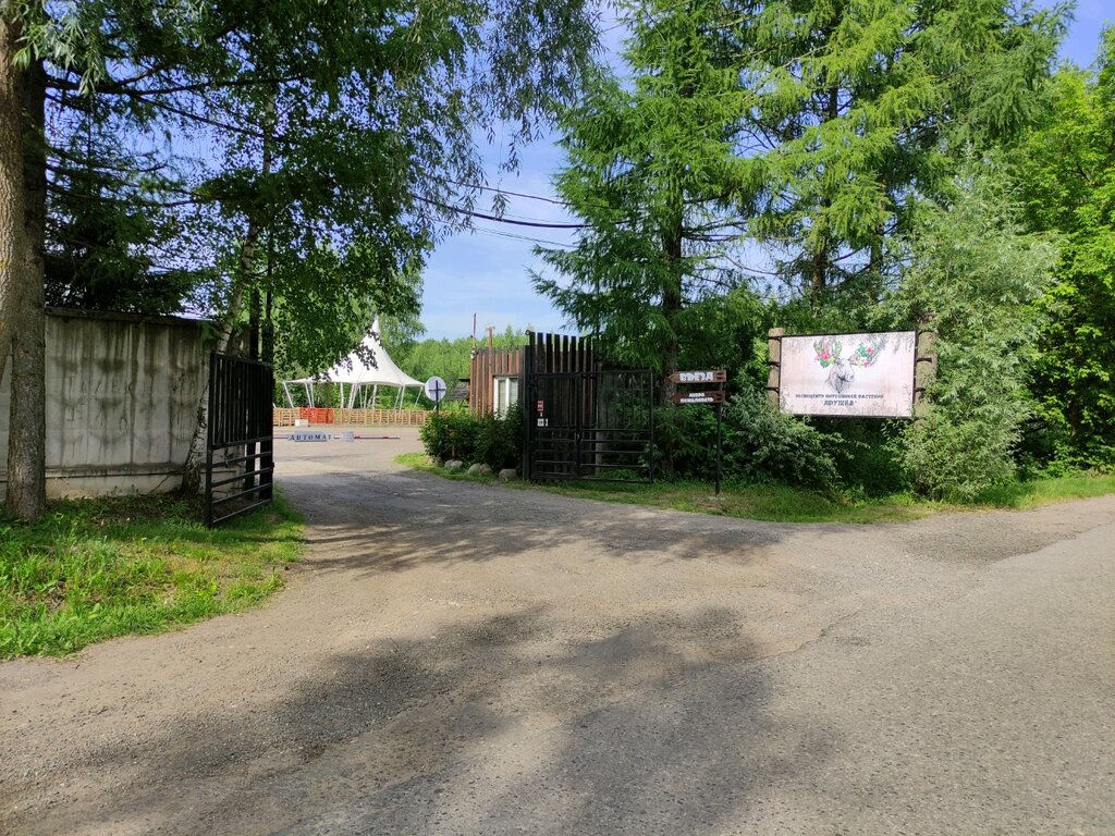 Sera ve bahçe ürünleri White Green House, Mytişçi, foto