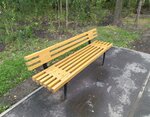 Bench (Leningrad Region, Vsevolozhckiy DIstrict, Zanevskoye gorodskoye poseleniye, Kudrovo, lesopark Beryozovaya Roshcha), bank