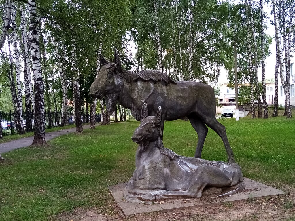 Park, sokak heykeli Лоси, Bronnitsy, foto