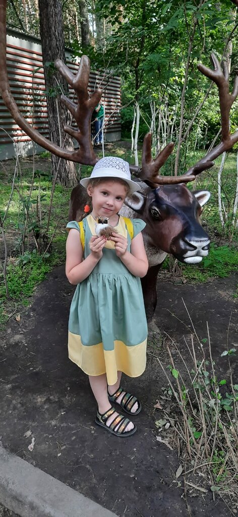 Hayvan muhafazaları Леопарды, рысь, Novosibirsk, foto