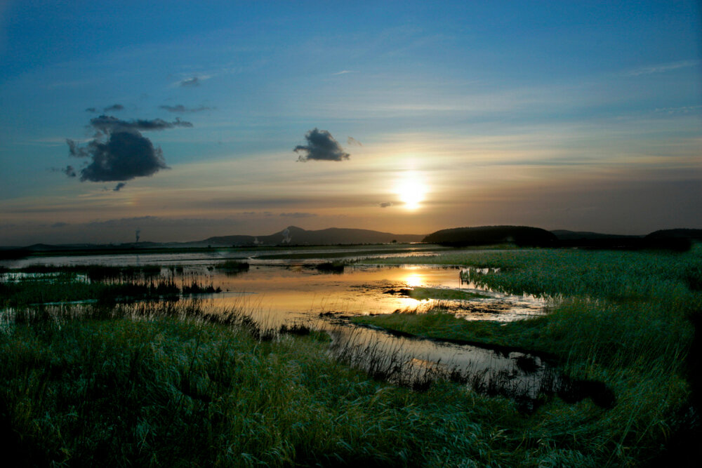 Otel La Conner Rv & Camping Resort, Washington Eyaleti, foto