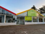 Wero flowers GmbH (Düsseldorfer Landstraße No:183, Duisburg), çiçek teslimatı  Duisburg'dan