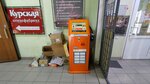 ДеньгиOnline (Vyacheslava Klykova Avenue No:16), ödeme terminali  Kursk'tan