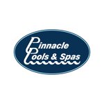 Pinnacle Pools & Spas Dallas (Texas, Collin County, Plano), yüzme havuzları  Plano'dan