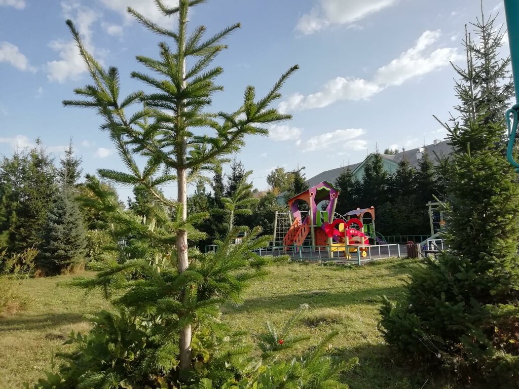 Kültür ve eğlence parkları сквер Памяти, Polysayevo, foto