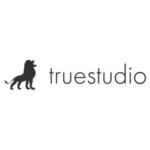 Truestudio (Krasnobogatyrskaya Street No:6с2), i̇nternet pazarlama şirketi  Moskova'dan