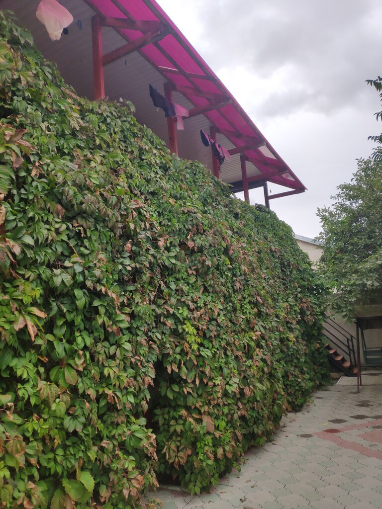 Otel Гостиница у Наташи, Kırım Cumhuriyeti, foto