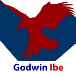 Godwin Ibe (Vertolyotnaya ulitsa No:4к1, mikrorayon Zenino ZhK Samolyot), eğitim merkezleri  Liubertsy'den