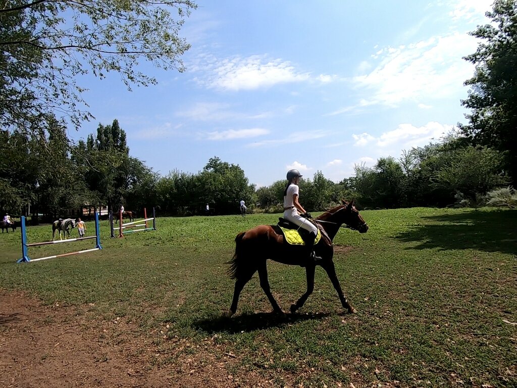 At ve binicilik kulüpleri КСК Амулет, Novoçerkassk, foto