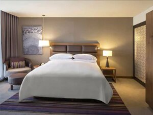 Fiesta Americana San Luis Potosi (San Luis Potosí, San Luis Potosí), otel  San Luis Potosi'den