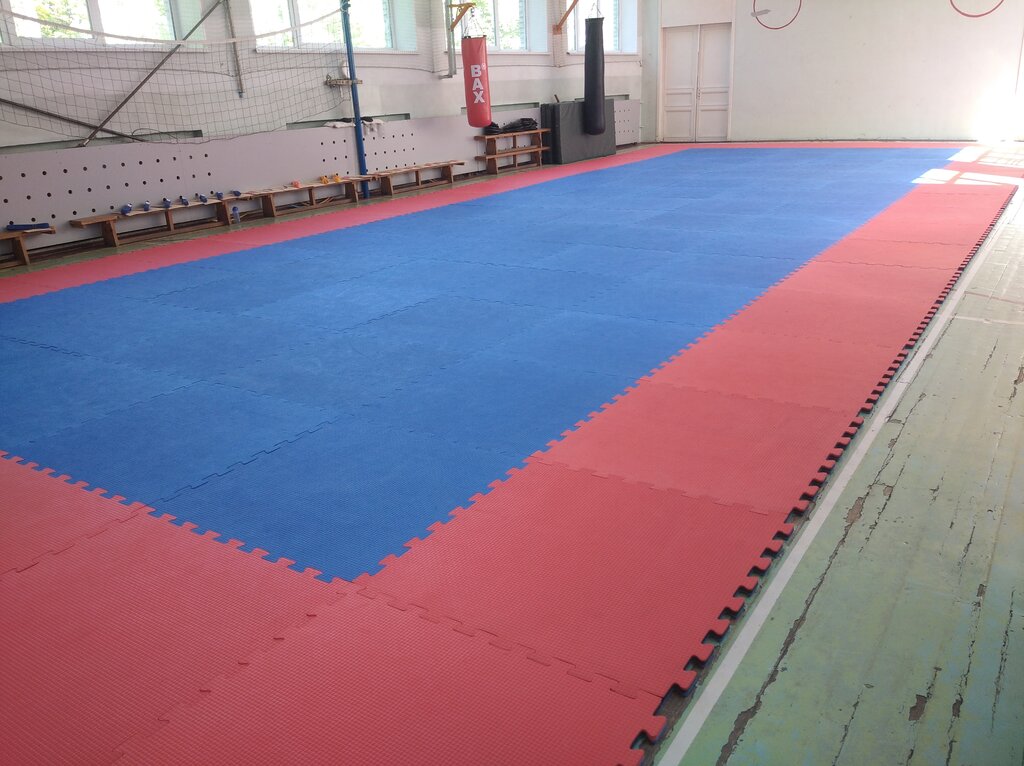 Spor kulüpleri Самурай, Saint‑Petersburg, foto