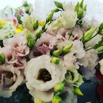 Dalla Paola Rosanna Fiori (Via Campo Marzo No:5, Verona), çiçek teslimatı  Verona'dan