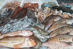 Pescheria Lo Scoglio (Piedmont, Provincia di Torino, Via Poirino, 360), balık çiftçiliği ve toptancıları  Piyemonte'den