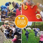 Goccia D'Oro Societa' Cooperativa (Lazio, Latina), anaokulları  Lazio'dan