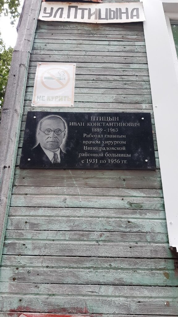 Anıt levhası, anıt taş И.К. Птицыну, Arhangelskaya oblastı, foto