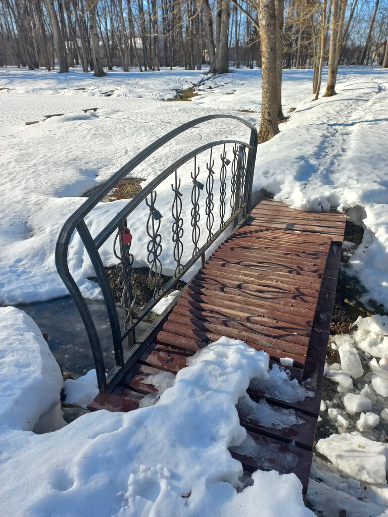 Turistik yerler Усадьба Обольяниновы, Novgorodskaya oblastı, foto