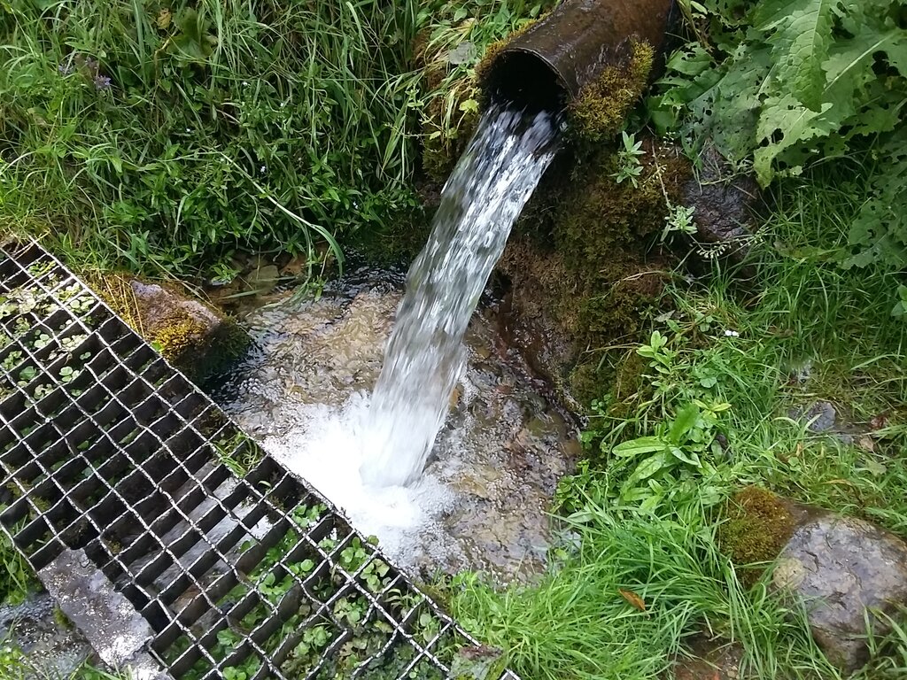 Pınar, çay Spring, stream, Saint‑Petersburg ve Leningradskaya oblastı, foto