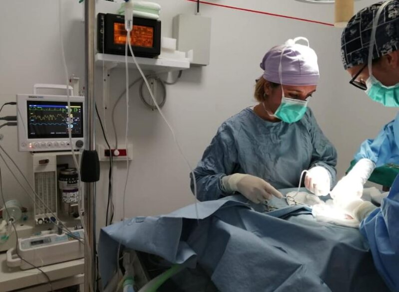 Veteriner klinikleri Ambulatorio veterinario i Migliori Amici, Toskana, foto
