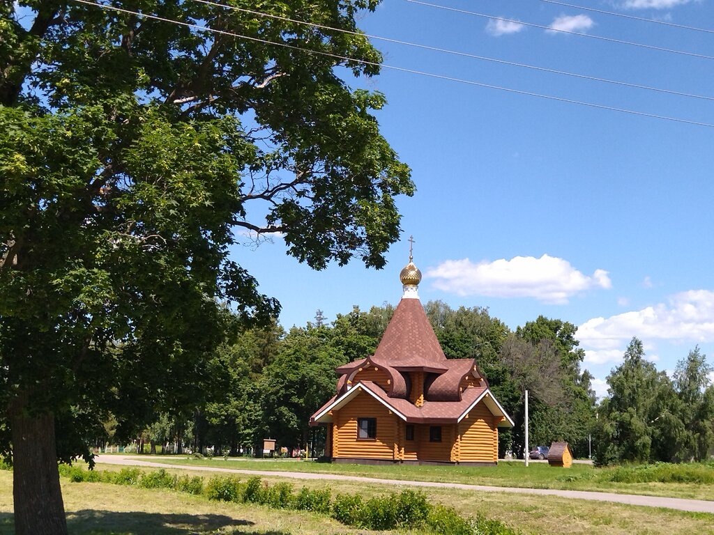 Ortodoks kiliseleri Церковь святого пророка Илии, Lipetskaya oblastı, foto
