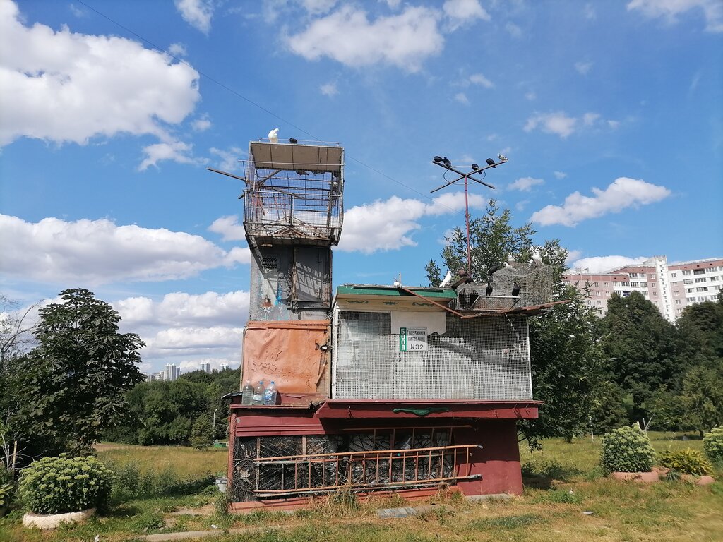 Kuşlar için büyük kafes БООП, голубиный питомник № 32, Minsk, foto