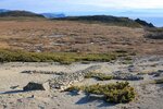 Каменный крест (gorodskoy okrug Magadan, poluostrov Staritskogo), şapel, haç anıtı  Magadan Bölgesi'nden