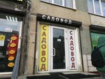 Sadovod (Dybenko Street No:24к1), tohum satan yerler  Saint‑Petersburg'dan