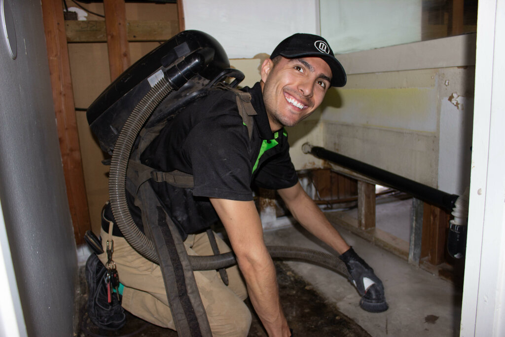 Halı yıkamacılar Servpro of San Diego East, Kaliforniya Eyaleti, foto