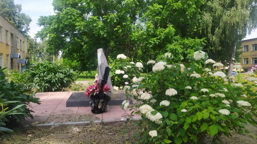 Anıt, heykel Воинское захоронение, Nijegorodskaya oblastı, foto