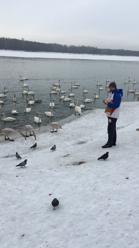 i̇skele Лодочная, Biysk, foto