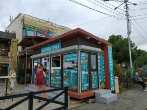Вкусная точка (Autonomous Republic of Crimea, Alushta, Lenina Street), fast food  Aluşta'dan