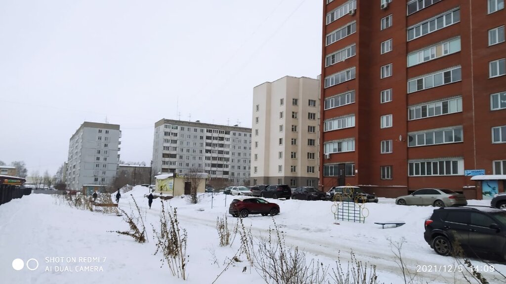 Oyun alanı Playground, Novosibirsk, foto